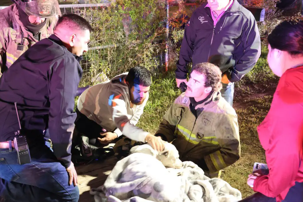 Dog saved in Hood Street house fire - Uvalde Leader News