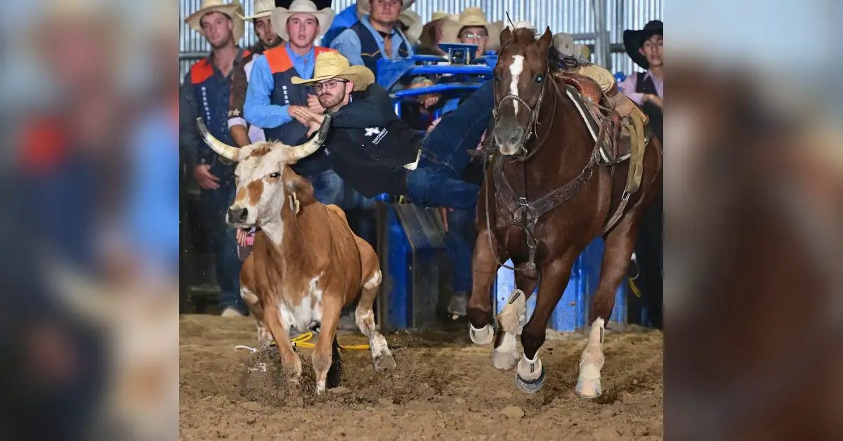 SWTX rodeo team fares well in annual rodeo - Uvalde Leader News