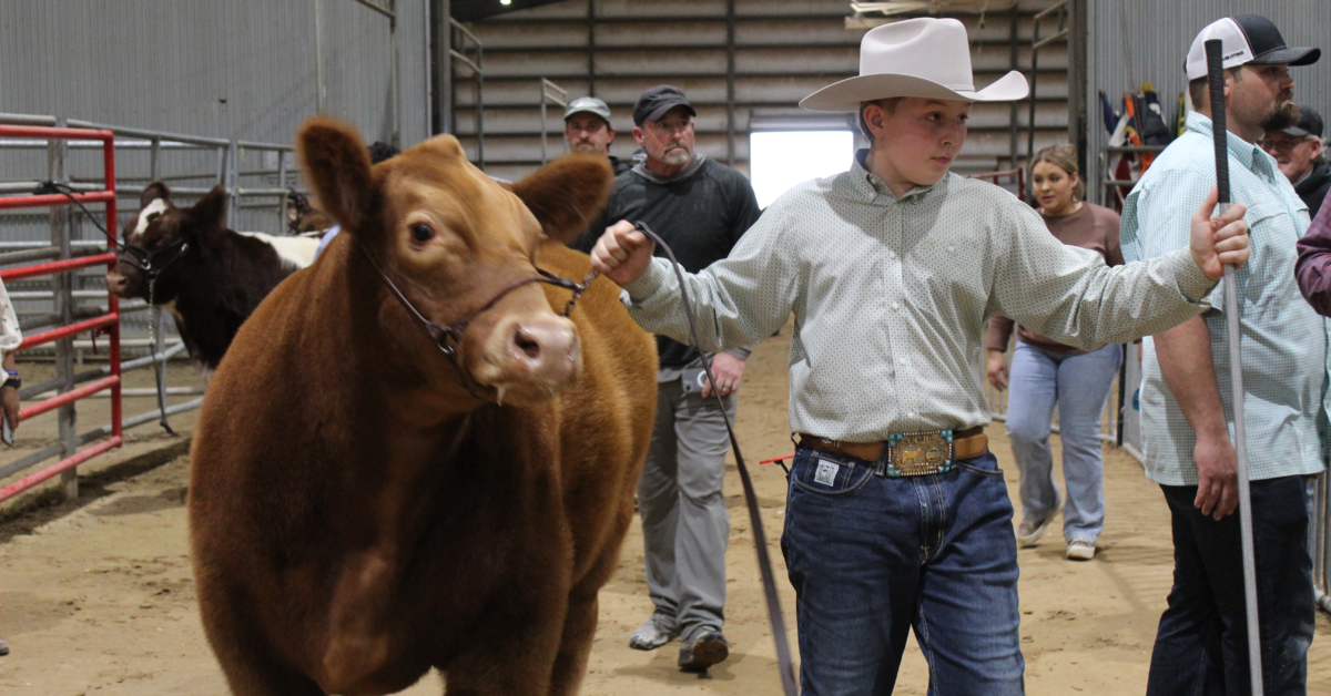 Parker, Red Rock win steer show - Uvalde Leader News
